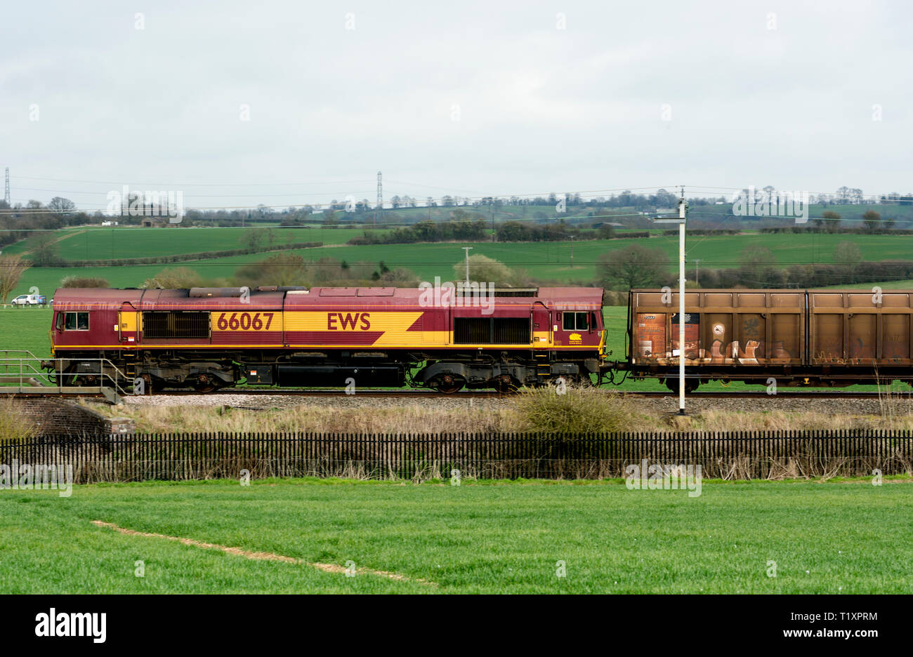 EWS Class 66 diesel locomotive pulling a Cargowaggon train, West Coast ...