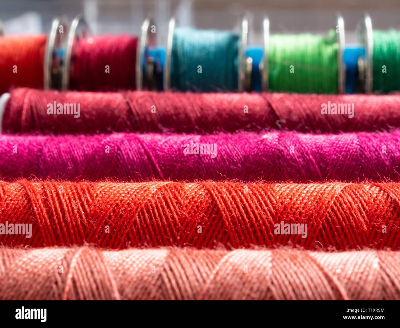 Macro Photography of sewing threads. The structure of the thread wound ...