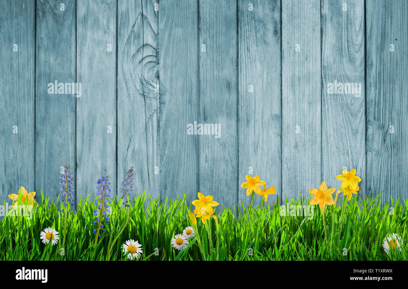 spring background with flowers Stock Photo - Alamy