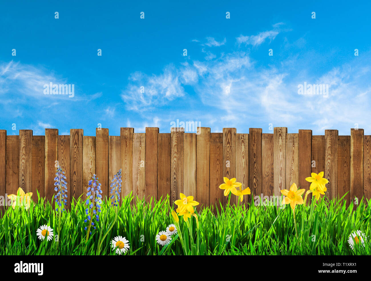 spring background with flowers Stock Photo - Alamy