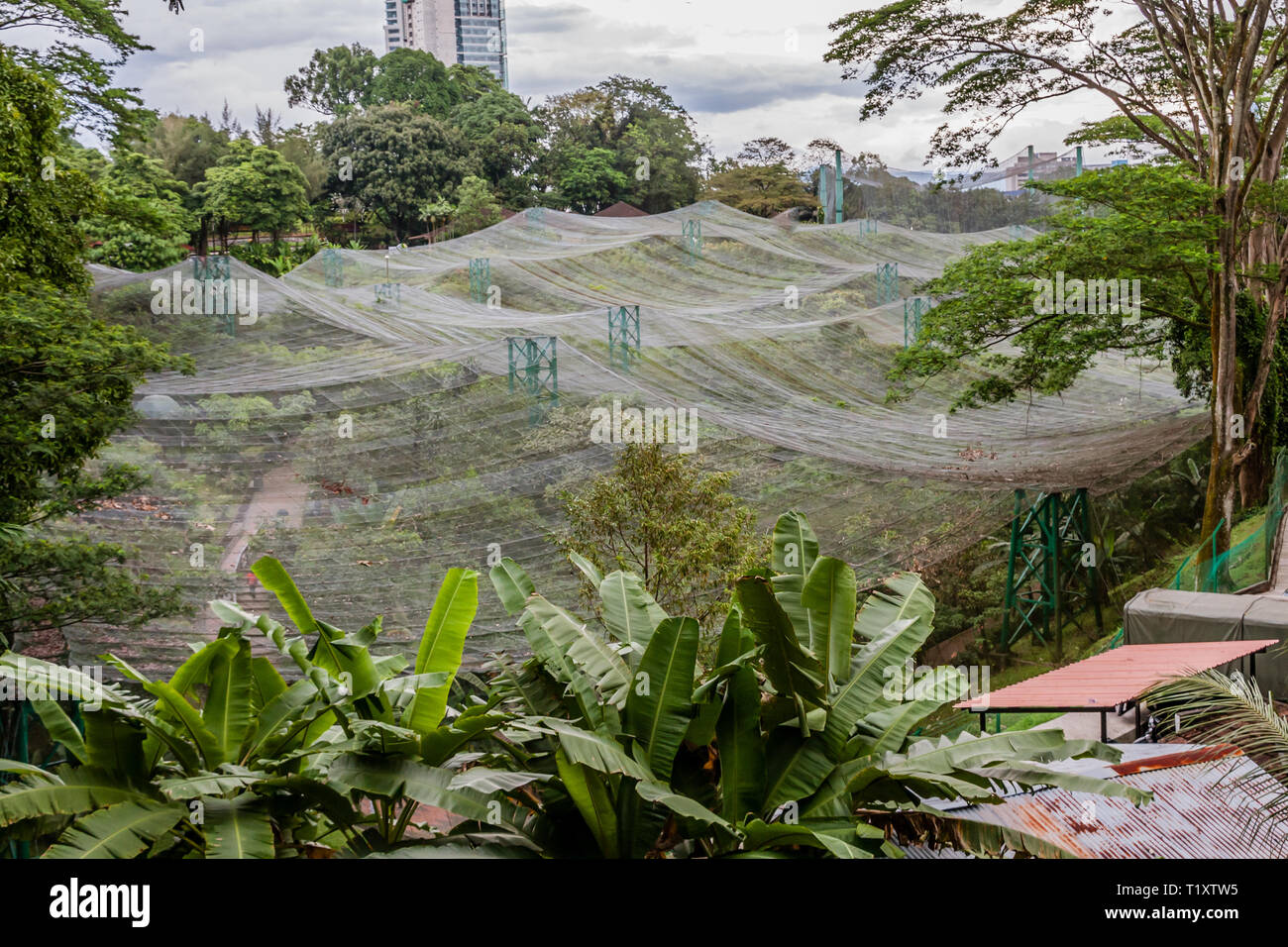 The net covering the Kuala Lumpur Aviary, Malaysia Stock Photo - Alamy
