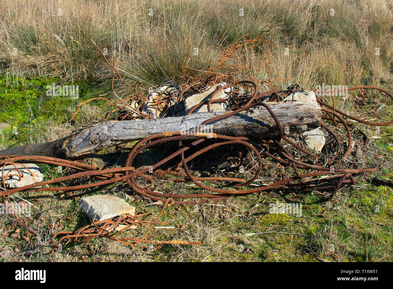 rusty cables, concrete and iron bars dumped in nature Stock Photo - Alamy