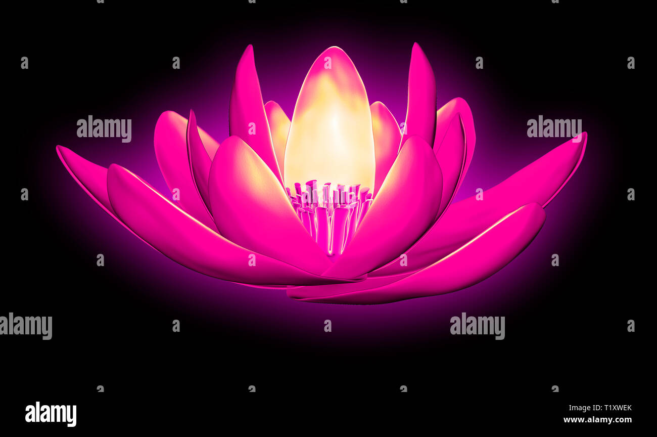 x-ray image of a flower isolated on black, the lotus 3d illustration ...
