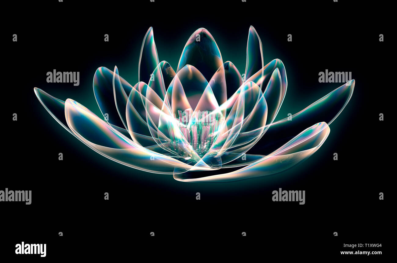 x-ray image of a flower isolated on black, the lotus 3d illustration ...