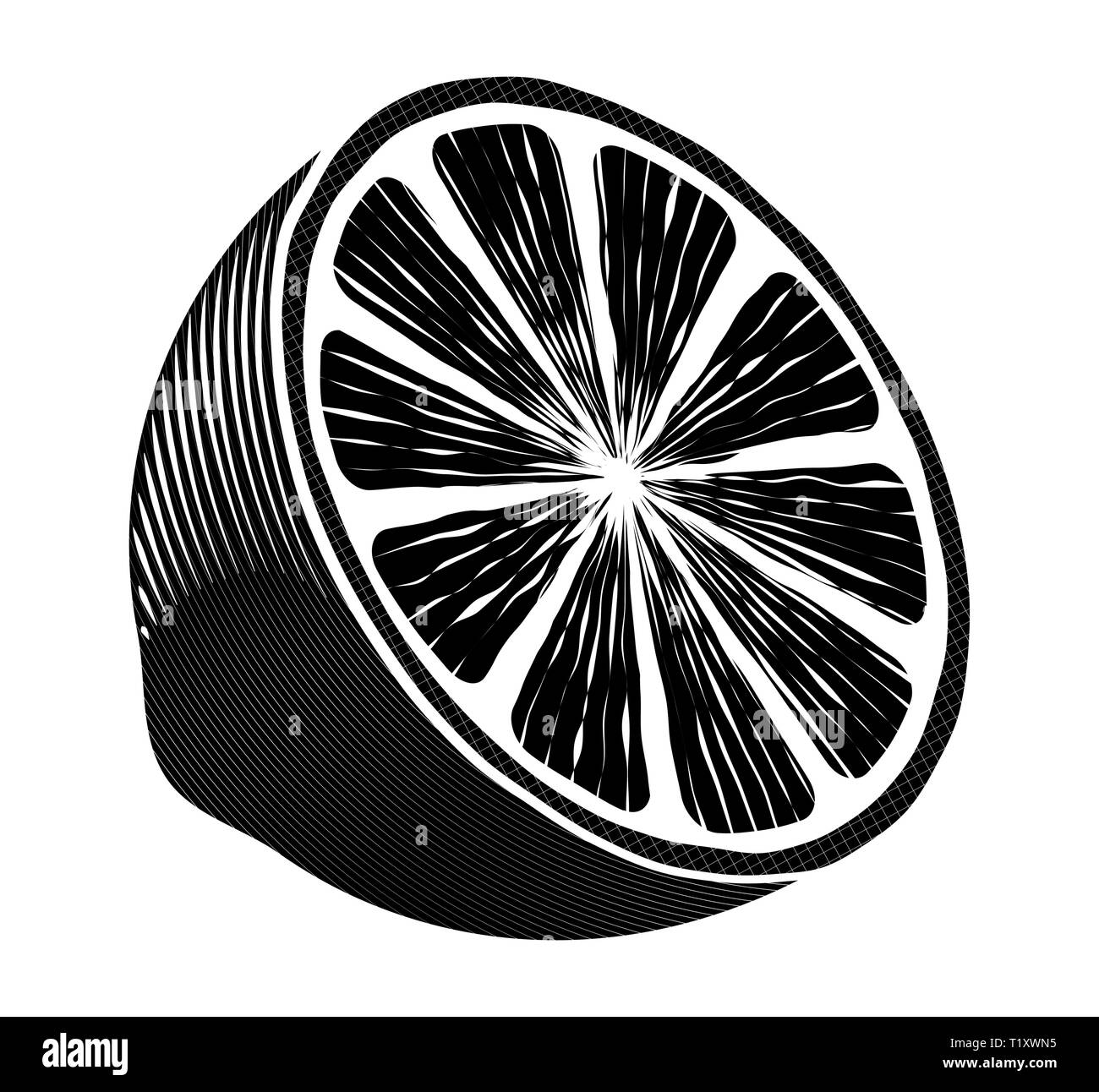Half a lemon. Black and white graphic drawing resembling an engraving ...