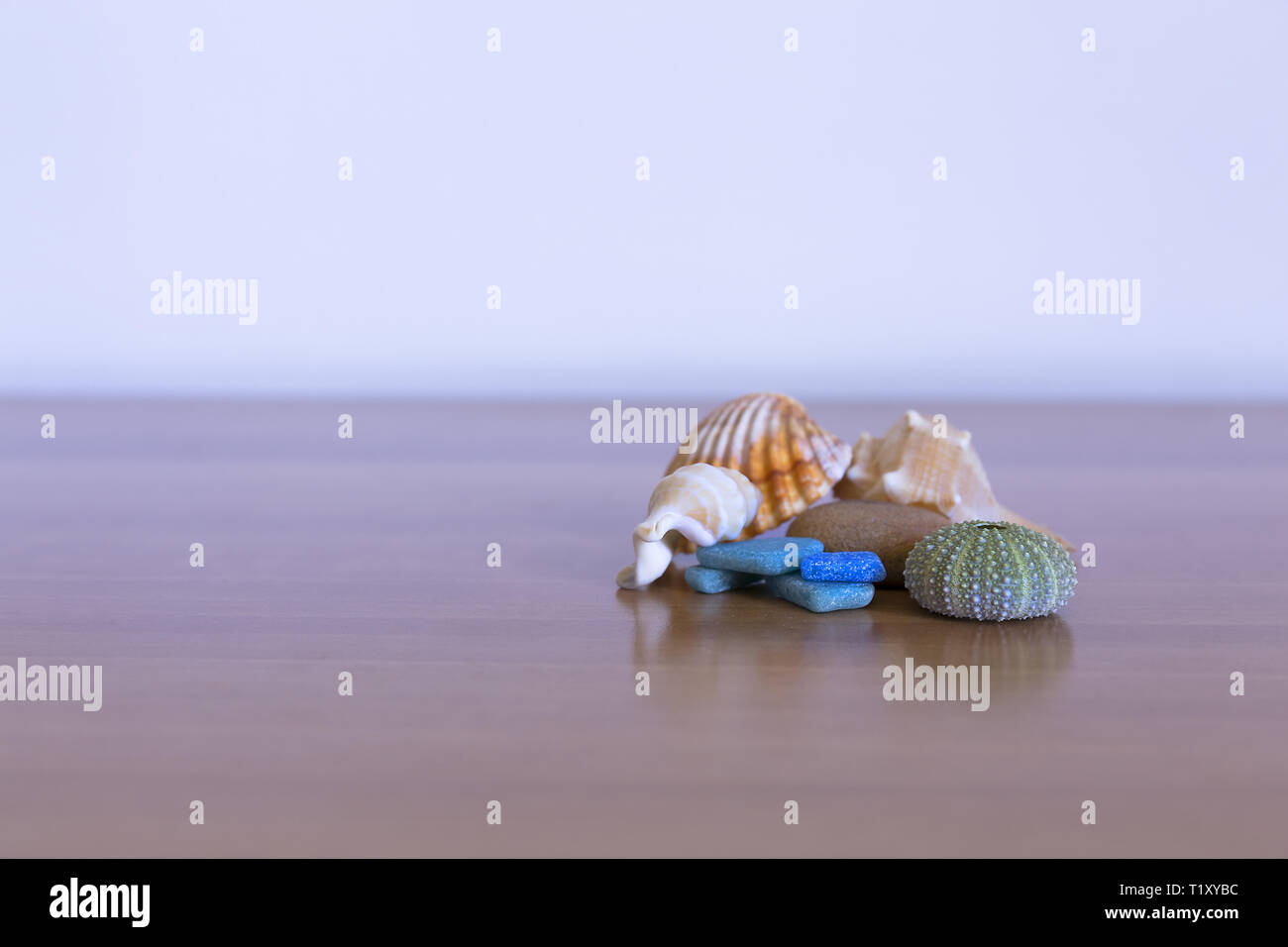 Shell sea shape nature home hi-res stock photography and images - Alamy