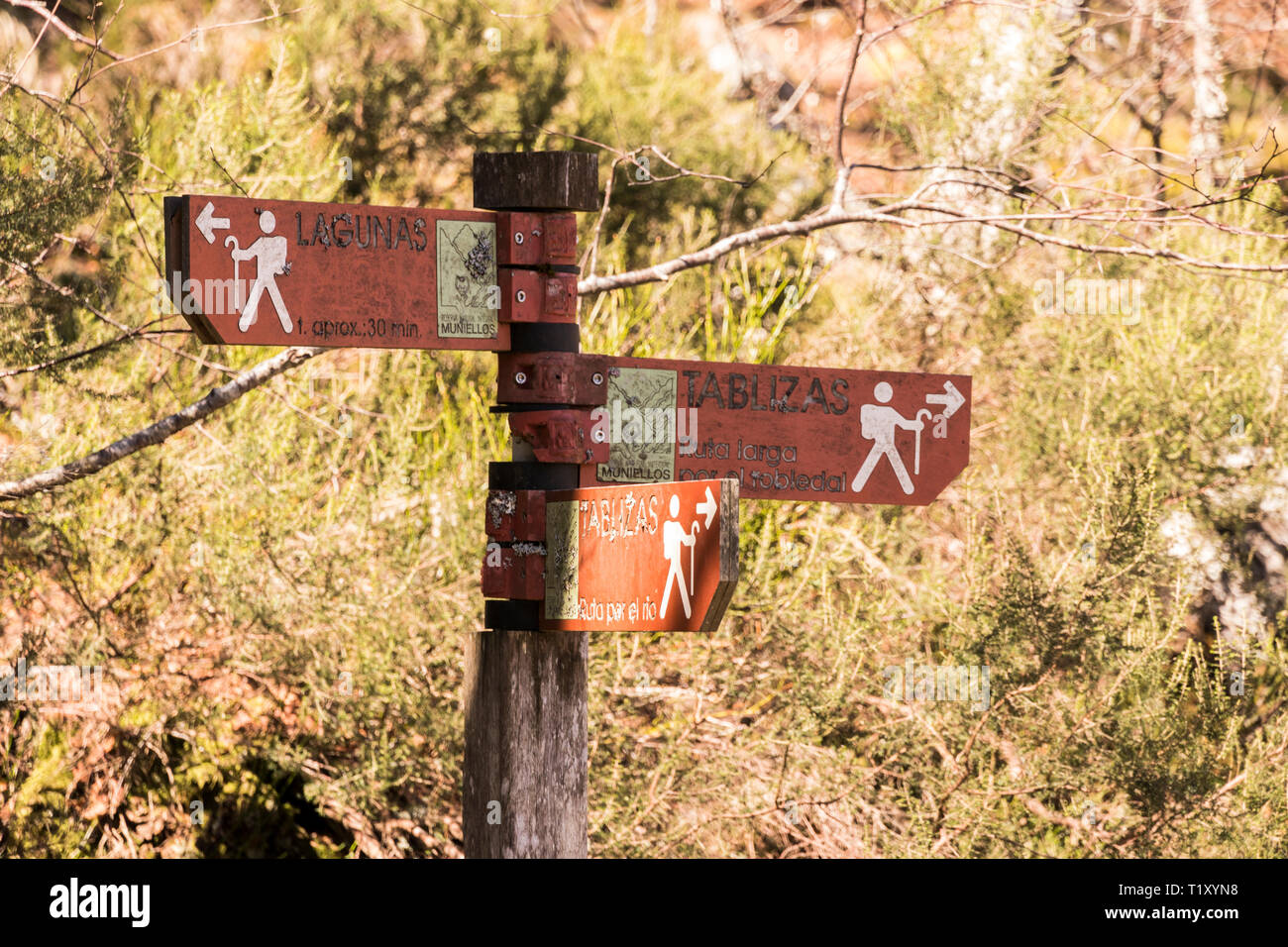 Asturias, Spain. Hiking trail signs at the Muniellos Nature Reserve ...