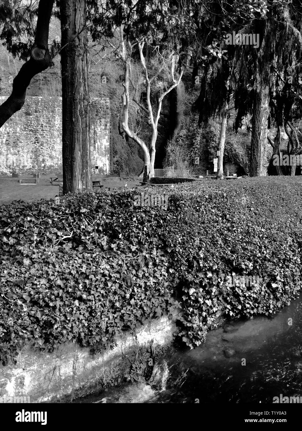 Dyserth waterfall Black and White Stock Photos & Images - Alamy