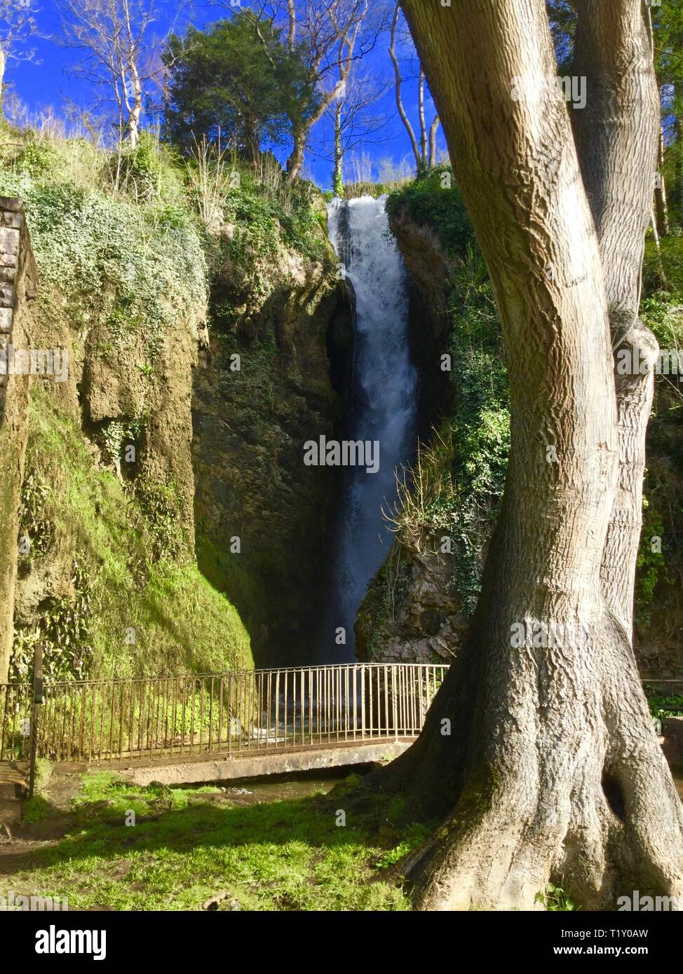dyserth,uk Dyserth Falls in springtime credit Ian fairbrother/Alamy ...