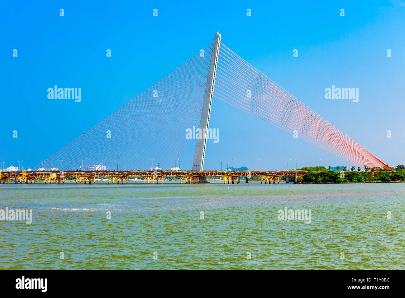 Tran nguyen han hi-res stock photography and images - Alamy