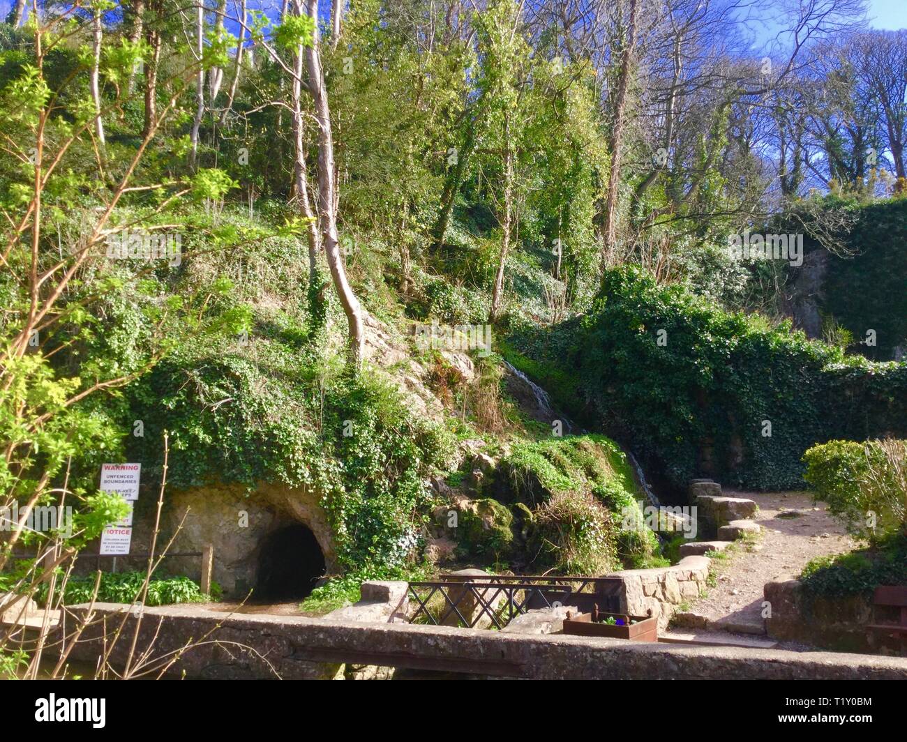 dyserth,uk Dyserth Falls in springtime credit Ian fairbrother/Alamy ...