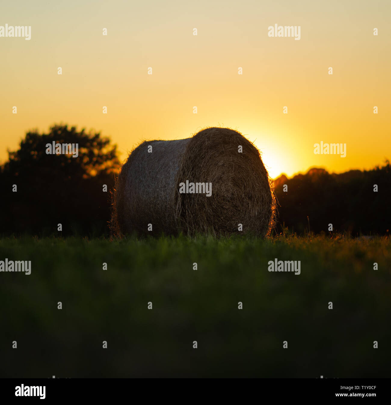 Hay bale at sunset hi-res stock photography and images - Alamy
