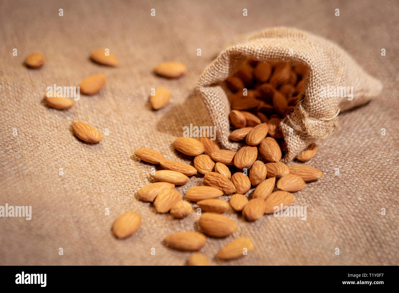 Bunch of almonds spilling out from sack on a burlap. Almond background ...