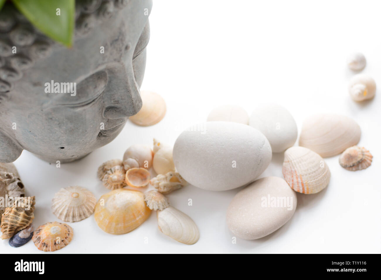 Still life and objects hi-res stock photography and images - Alamy