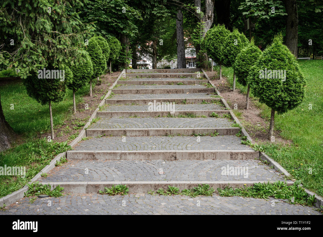 stairway in a public park with trees and grasses Stock Photo - Alamy