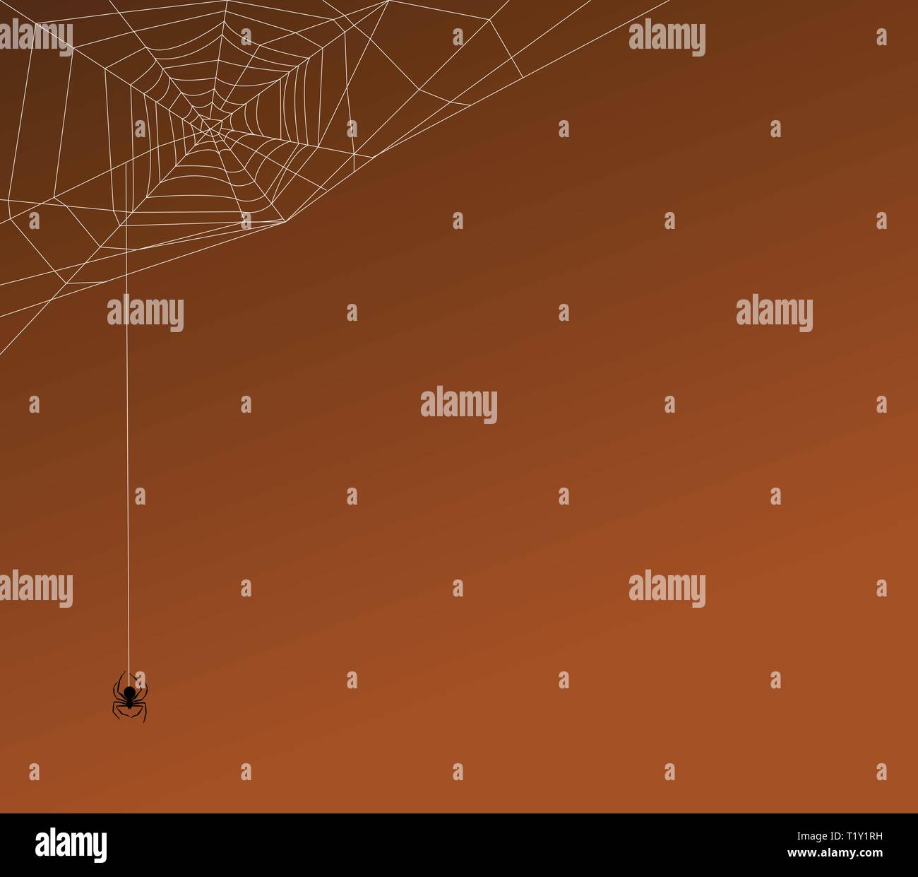 Deadly spiders hi-res stock photography and images - Alamy