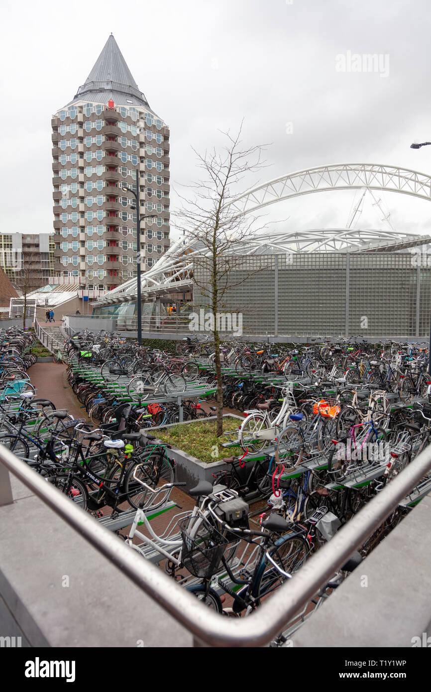 Bicycle parking with Pencil Tower in background,Rotterdam,Netherlands ...