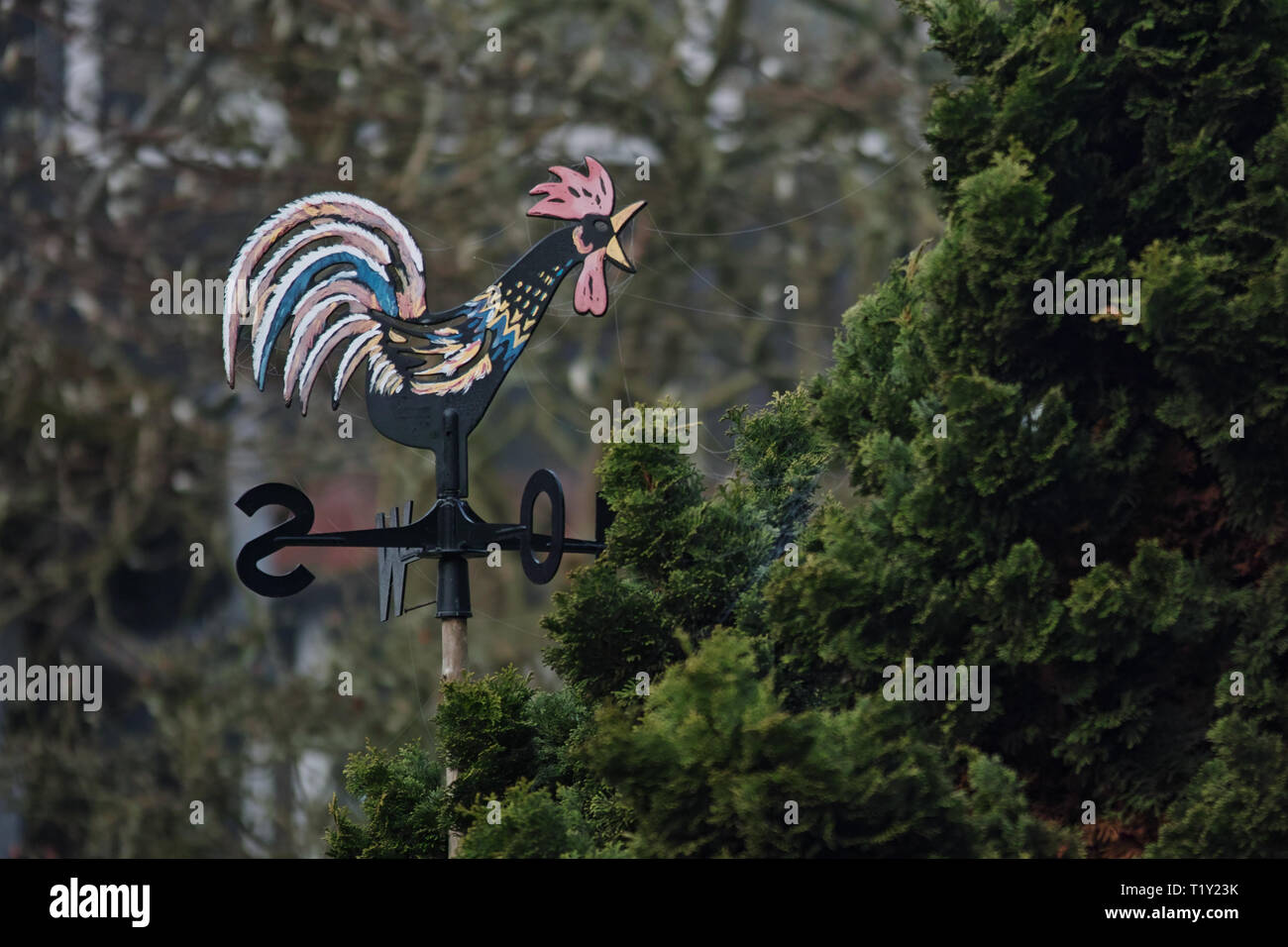 weathercock in garden in czech Stock Photo - Alamy