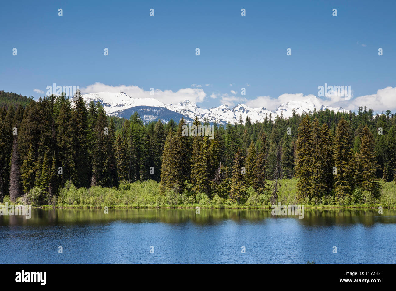 Swan Mountain Range, Rockies, MT Stock Photo - Alamy