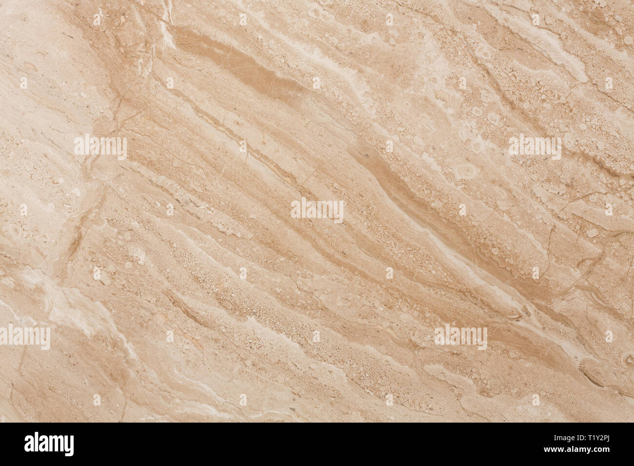 Stylish travertine background for new look. Natural brown, beige ...