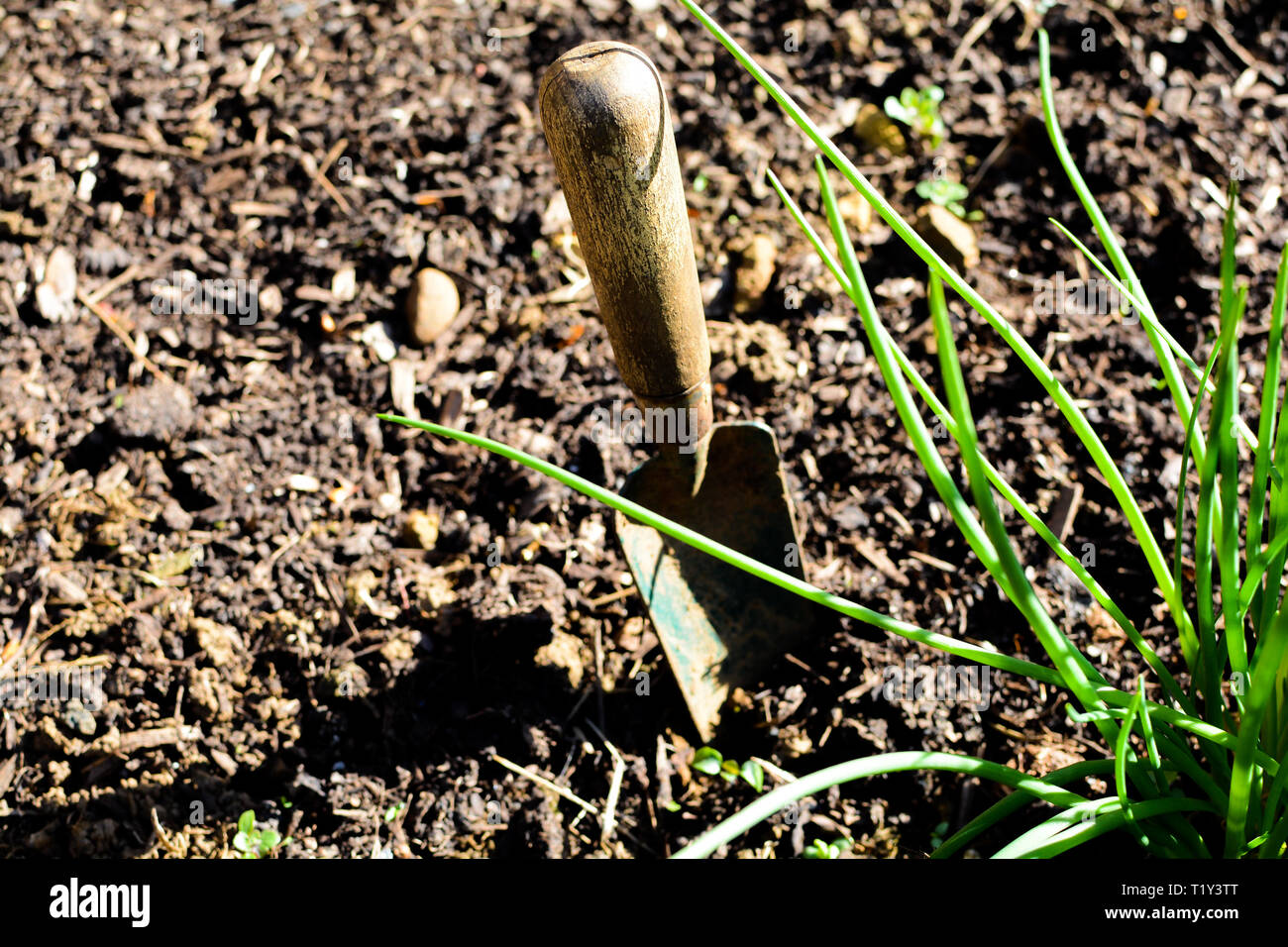 Empty flower bed in a garden ready for planting Stock Photo - Alamy