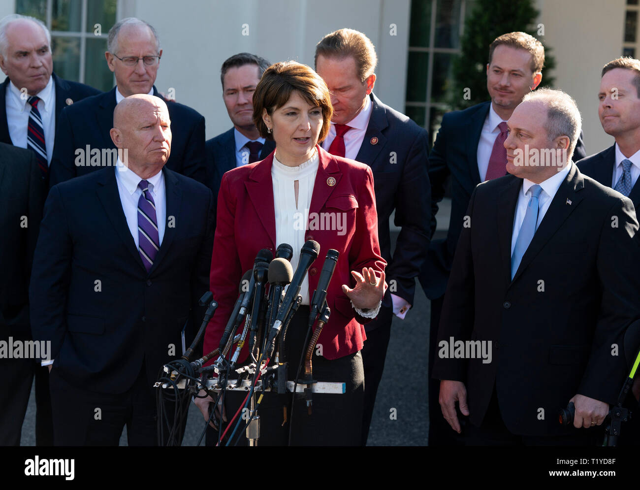 Washington, United States Of America. 26th Mar, 2019. Representative ...