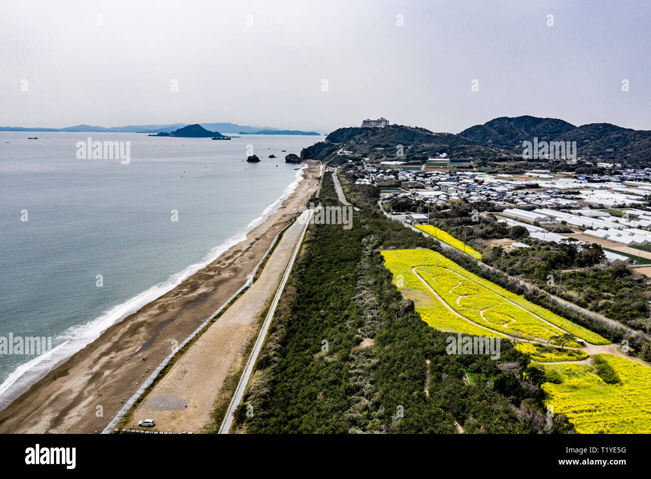 Tahara, Japan. 29th Mar 2019. An aerial view of rapeseed blossoms in ...