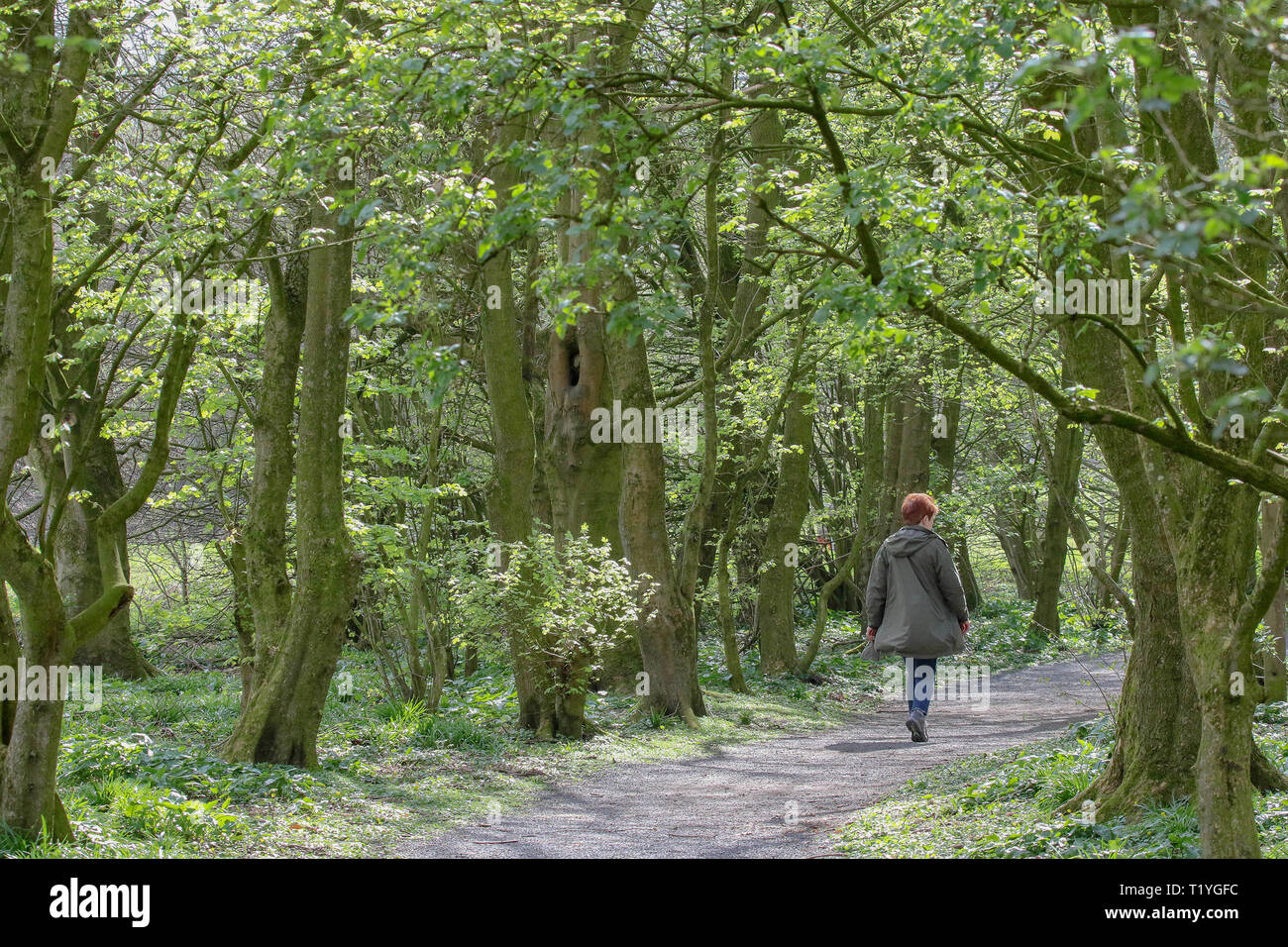 Lough neagh walking hi-res stock photography and images - Alamy