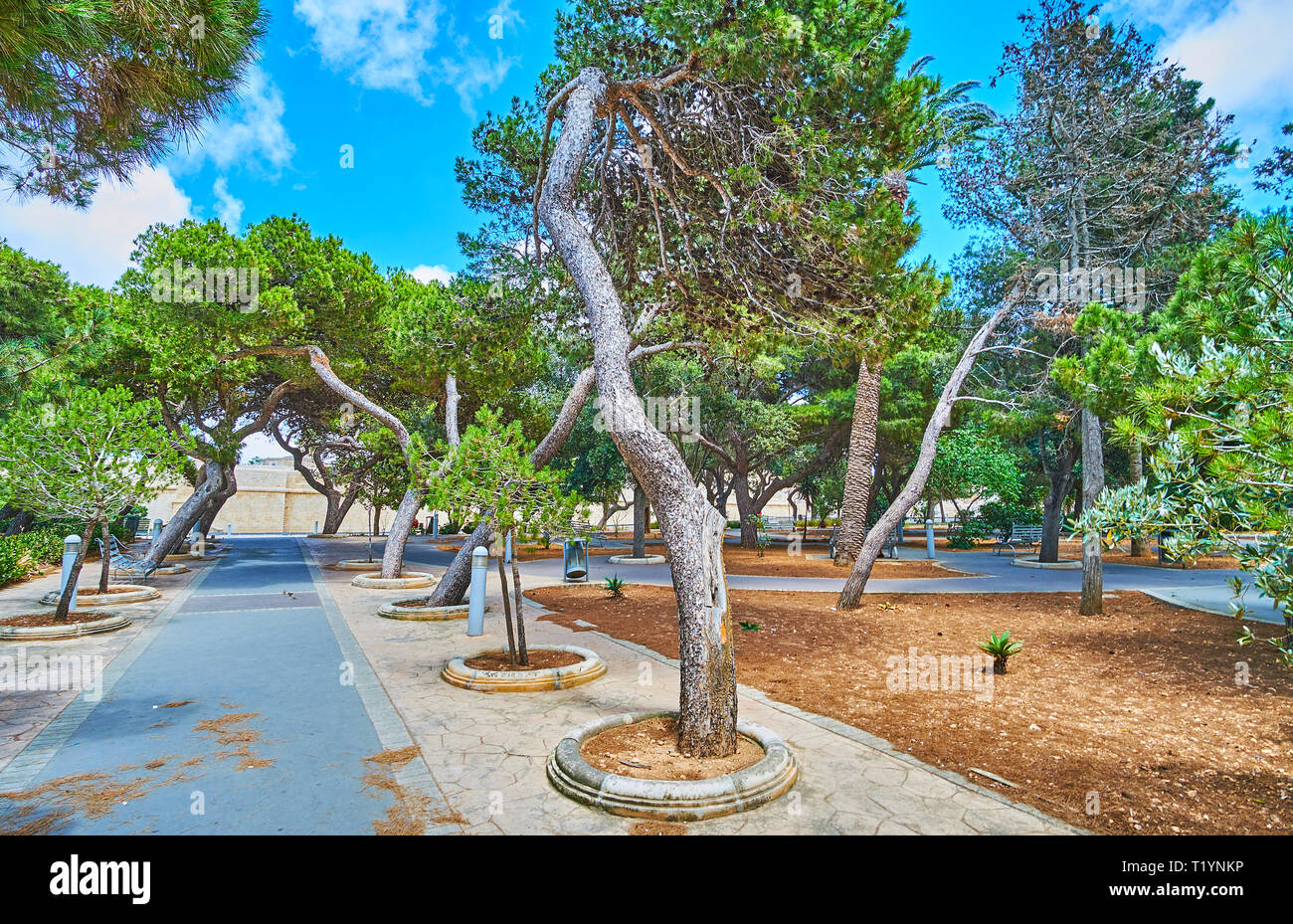 Enjoy the shady pine garden, surrounding the medieval walls of Mdina ...