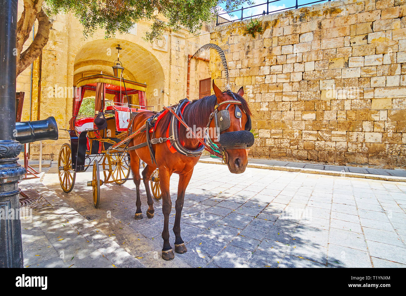 The city tour in horse-drawn carriage (Karozzin) is the best choice to ...