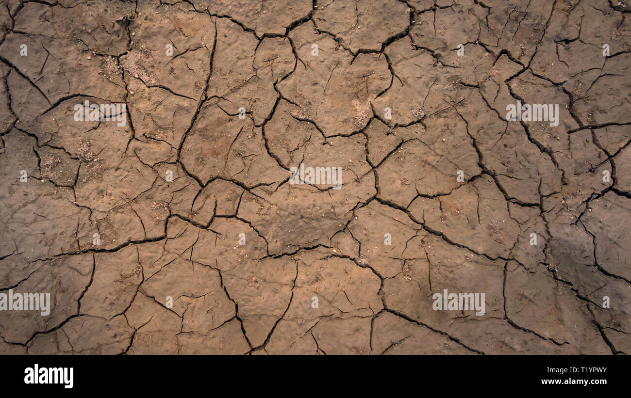 Texture of grunge dry cracking parched earth , Global warming effect ...