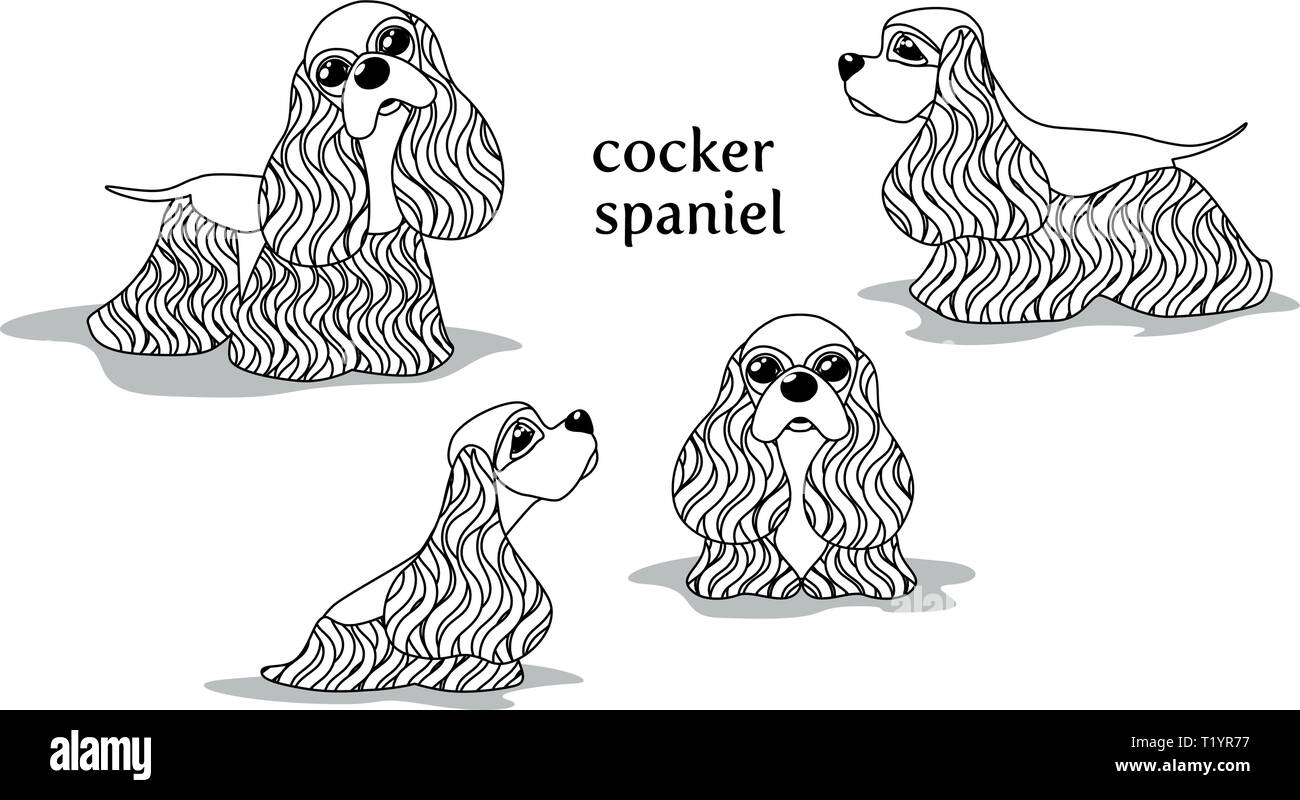 Cartoon Spaniel High Resolution Stock Photography and Images - Alamy