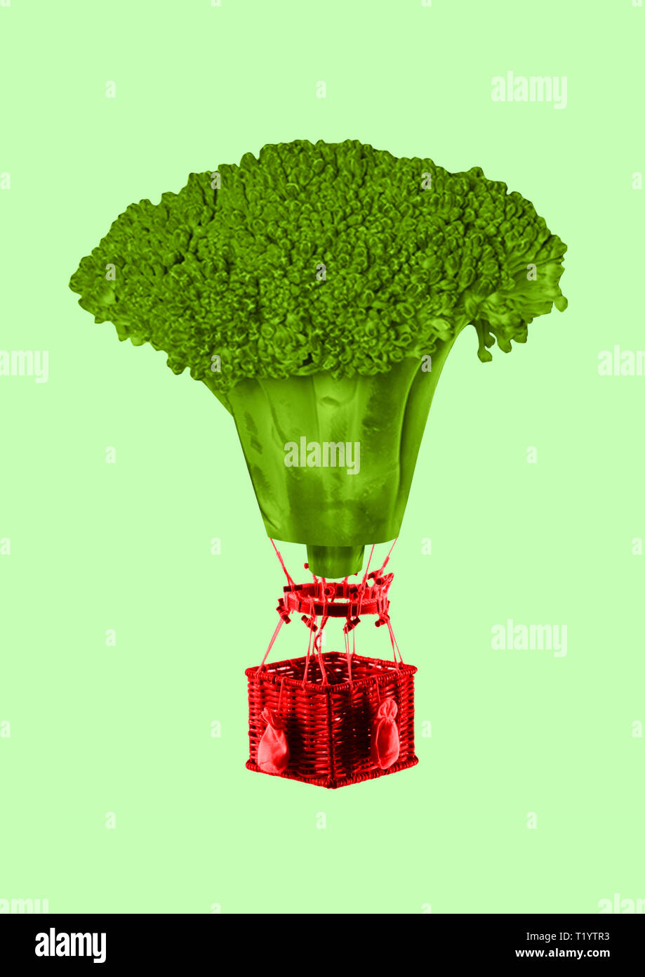 Veganism gives natural feelings. A vegans trip or journey. Balloon ...