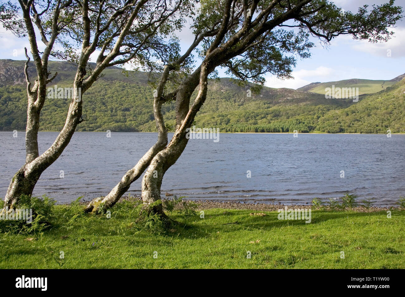 Loch Ba Mull Scotland Stock Photo - Alamy