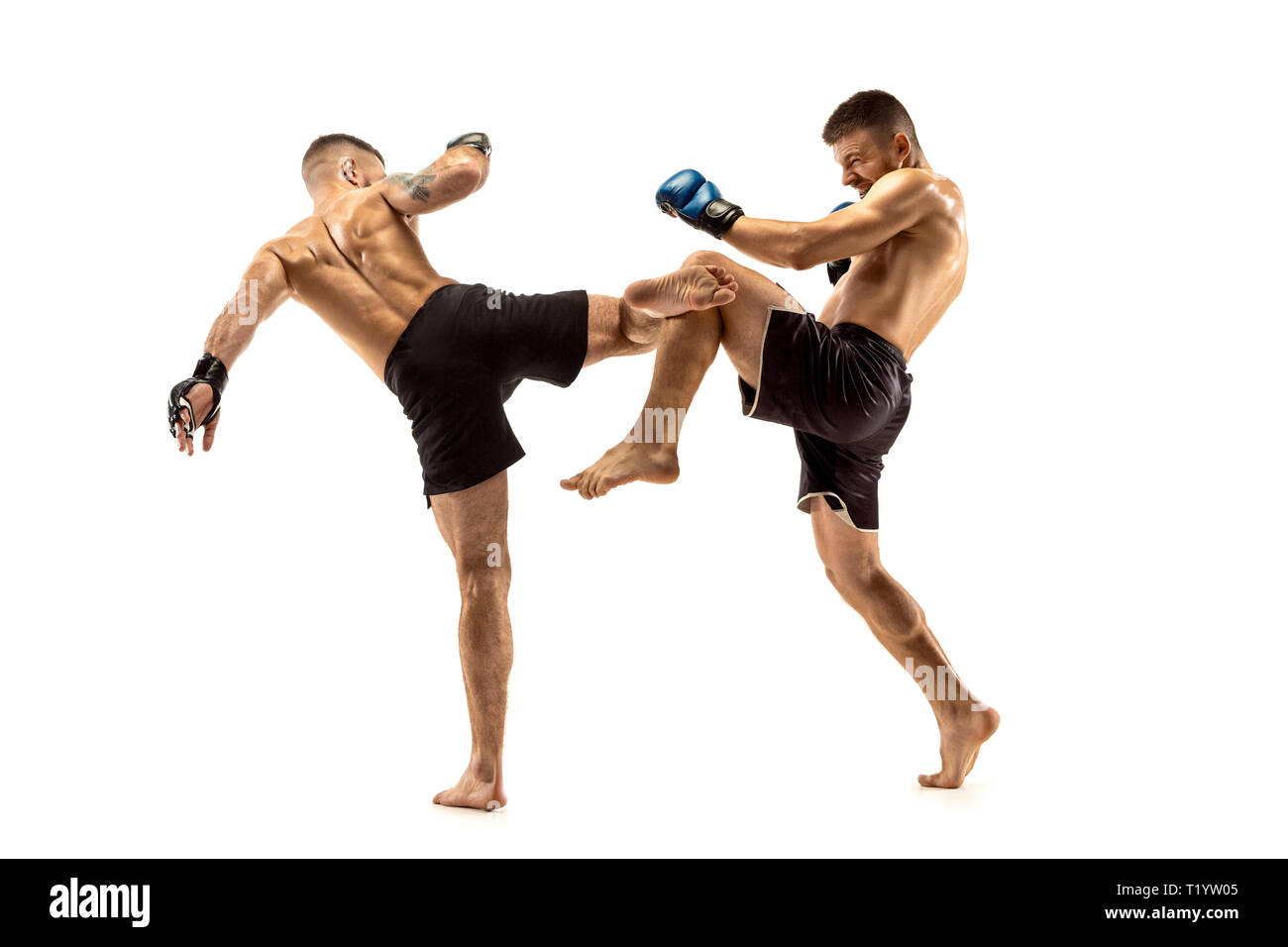 MMA. Two professional fightesr punching or boxing isolated on white ...