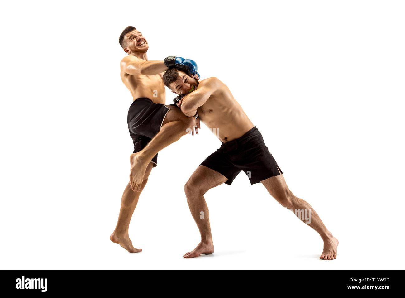 MMA. Two professional fightesr punching or boxing isolated on white ...