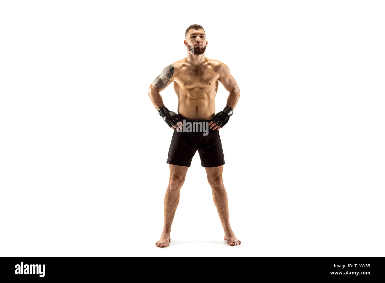 MMA. Professional fighter isolated on white studio background. Sport ...
