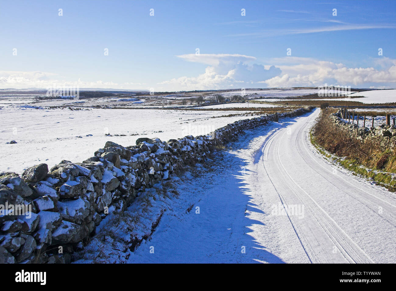 Rspb reserve at loch gruinart hi-res stock photography and images - Alamy