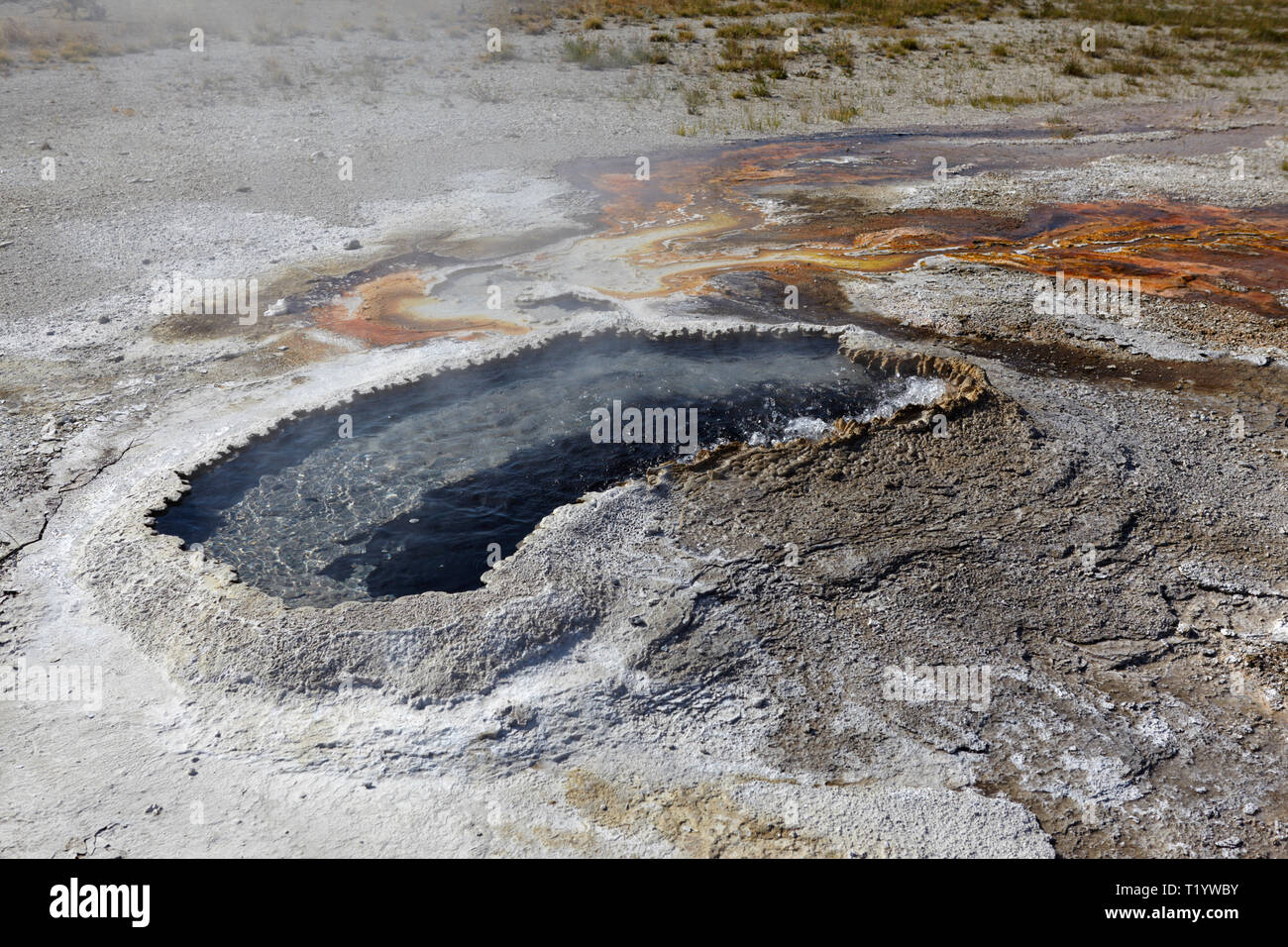 Hot Spring, Yellowstone National Park, America Stock Photo - Alamy