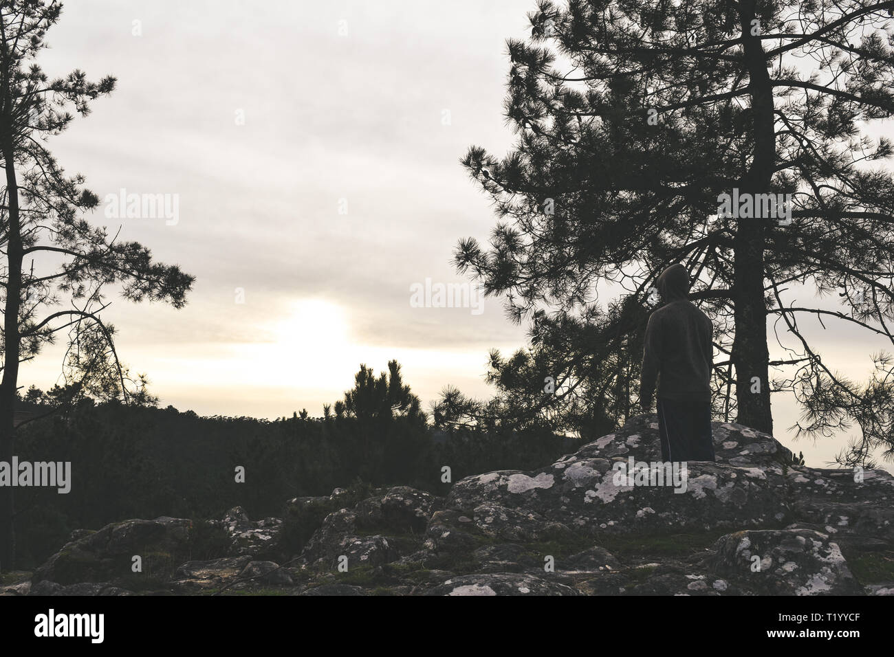 Boy is standing in the forest hi-res stock photography and images - Alamy