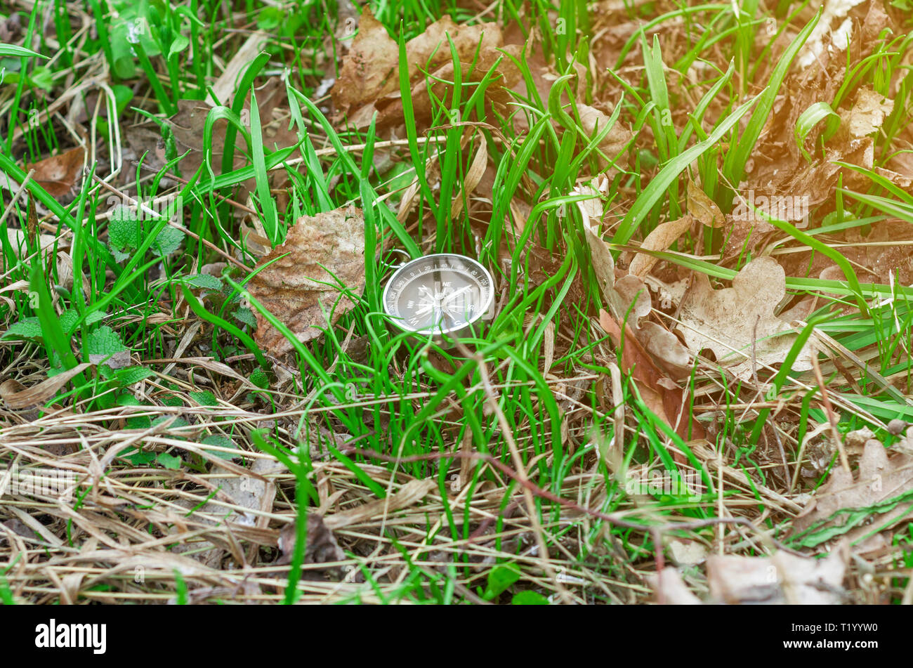 Compass lies on the ground in the grass. Specifying direction of the ...