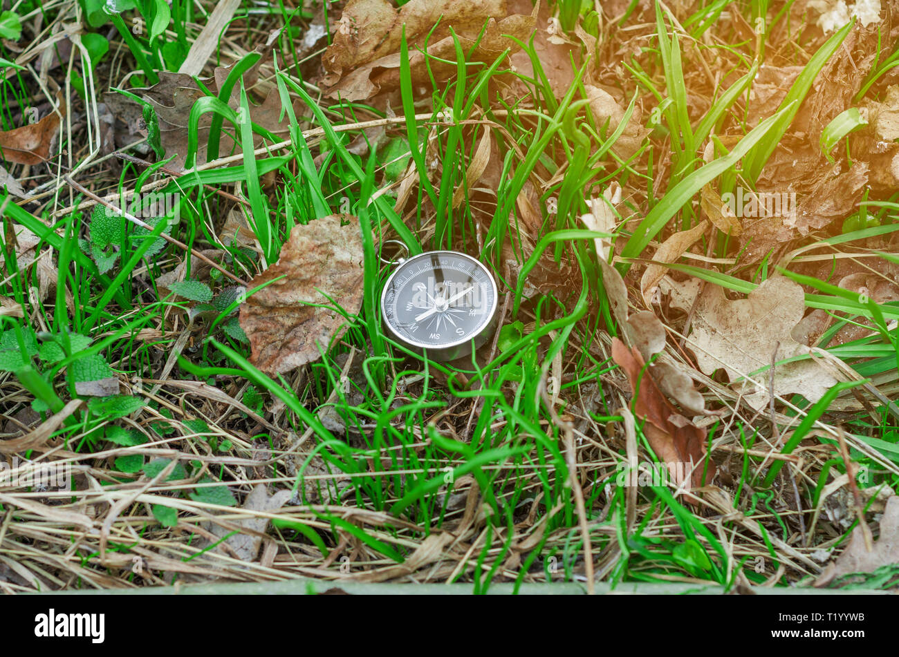 Compass lies on the ground in the grass. Specifying direction of the ...