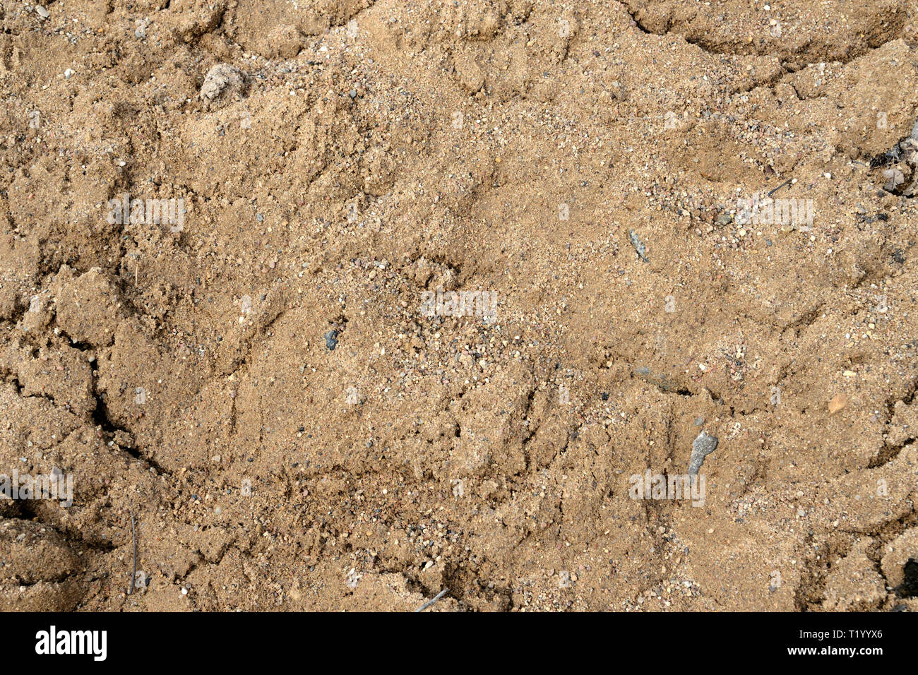 Large pile of construction sand close up as texture and background ...