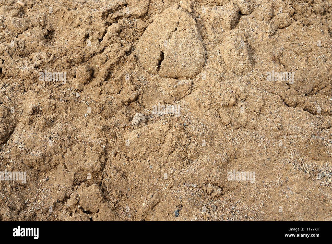 Large pile of construction sand close up as texture and background ...