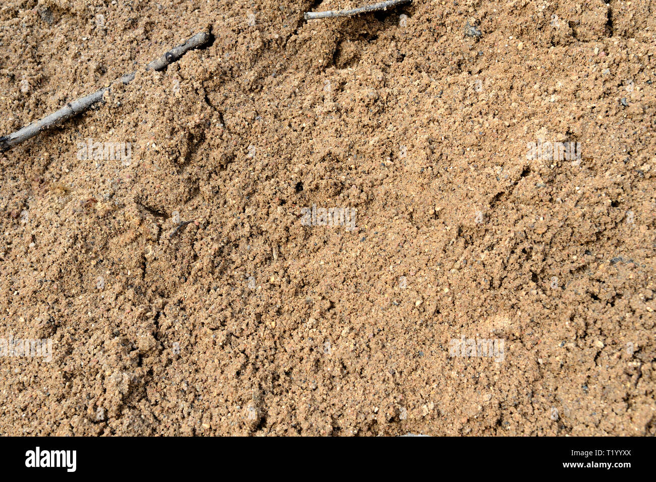 Large pile of construction sand close up as texture and background ...