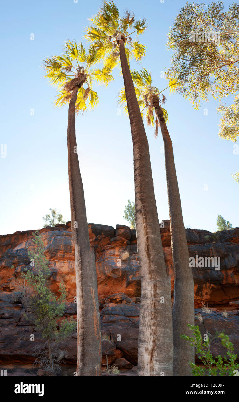 Hermannsburg namatjira hi-res stock photography and images - Alamy