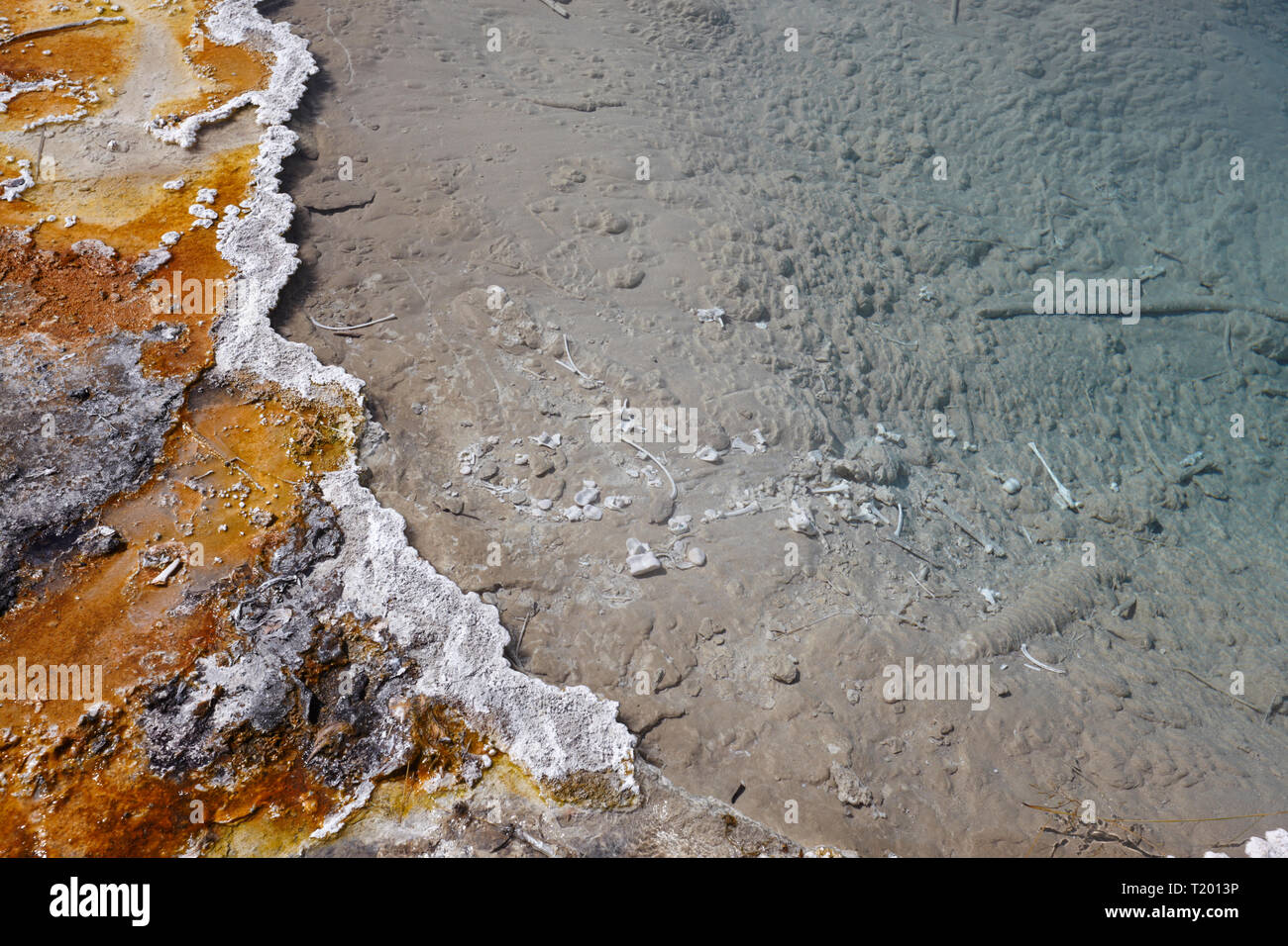 Hot Spring, Yellowstone National Park, America Stock Photo - Alamy