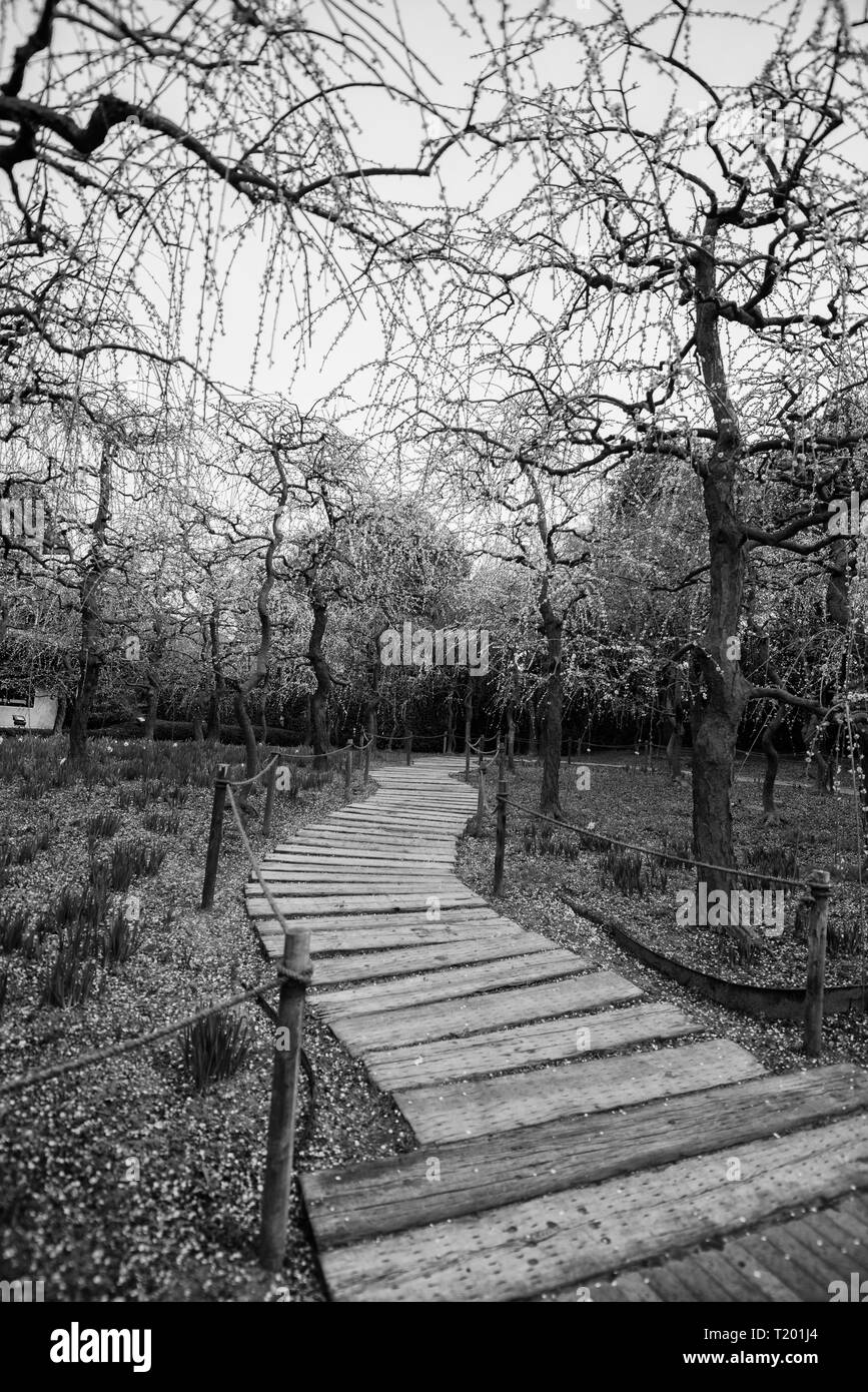 entrance of Nature Stock Photo - Alamy