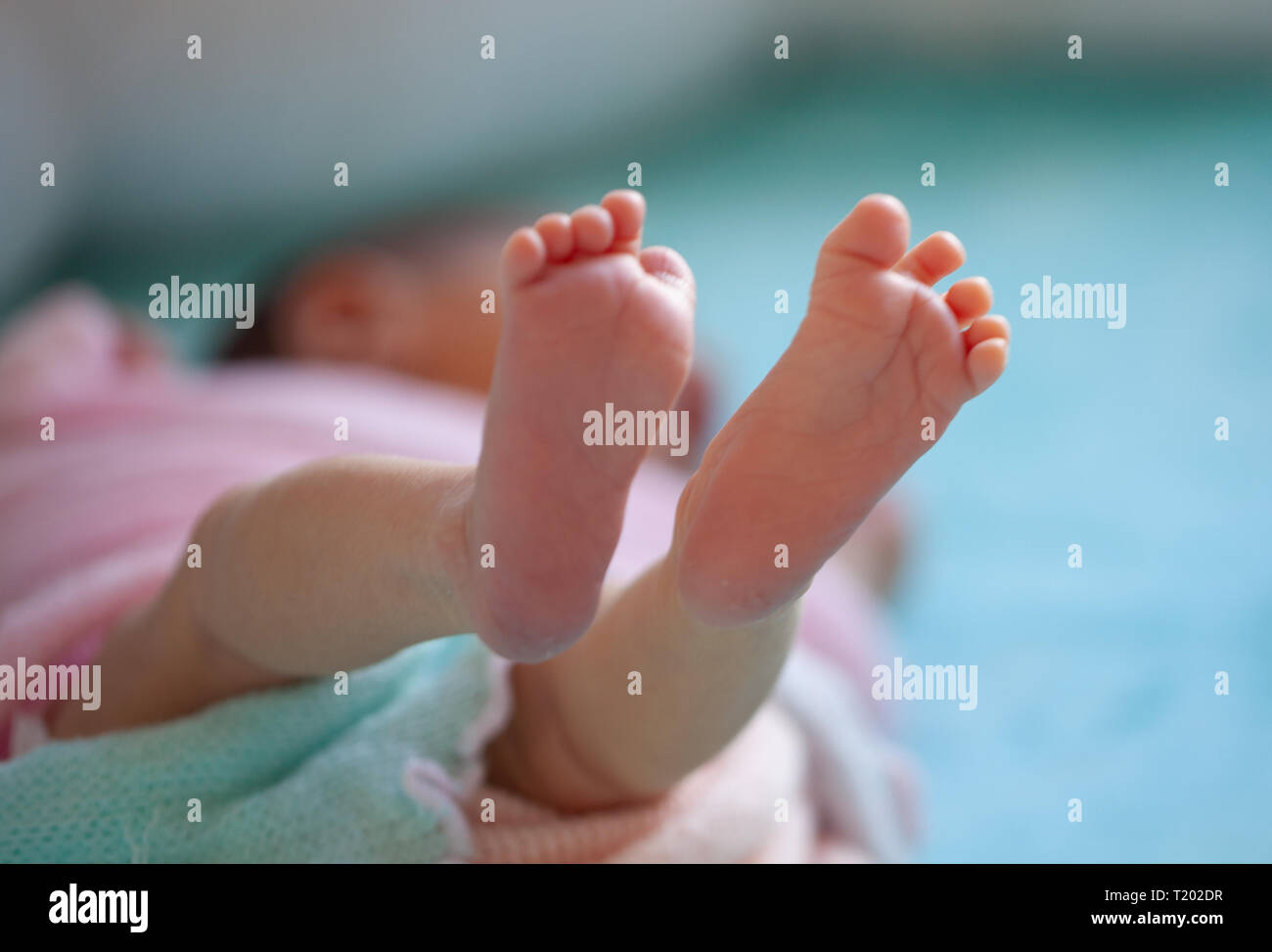 Newborn baby feet close up. Soft pastels background, Aquamarine, pink ...