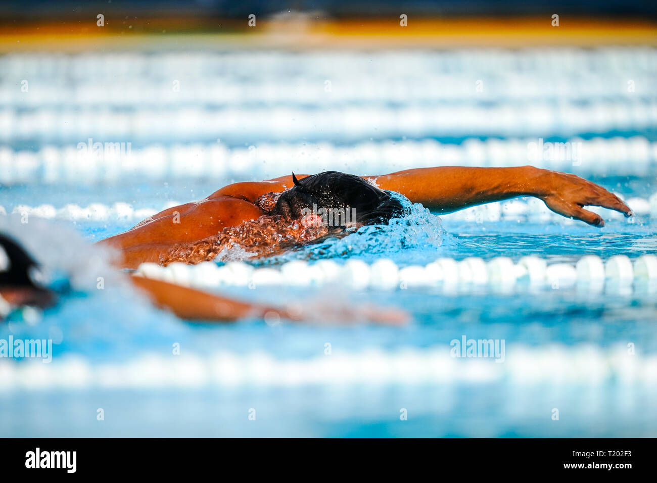 Olympic swimming pool hi-res stock photography and images - Alamy